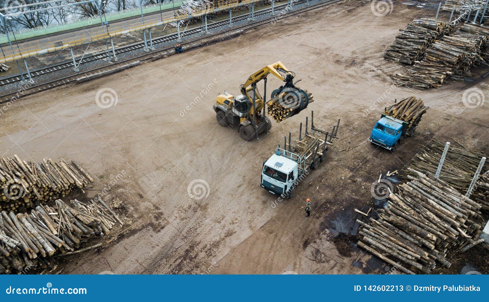Loading Logs into a Truck at a Woodworking Factory Stock Image - Image ...