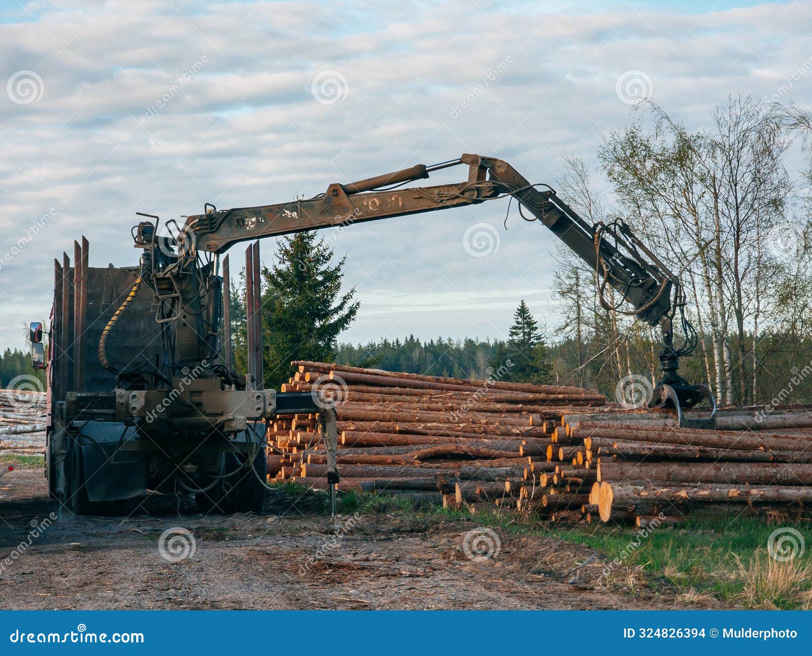Loading Logs Using Hydraulic Machinery on Logging Truck Stock Photo ...