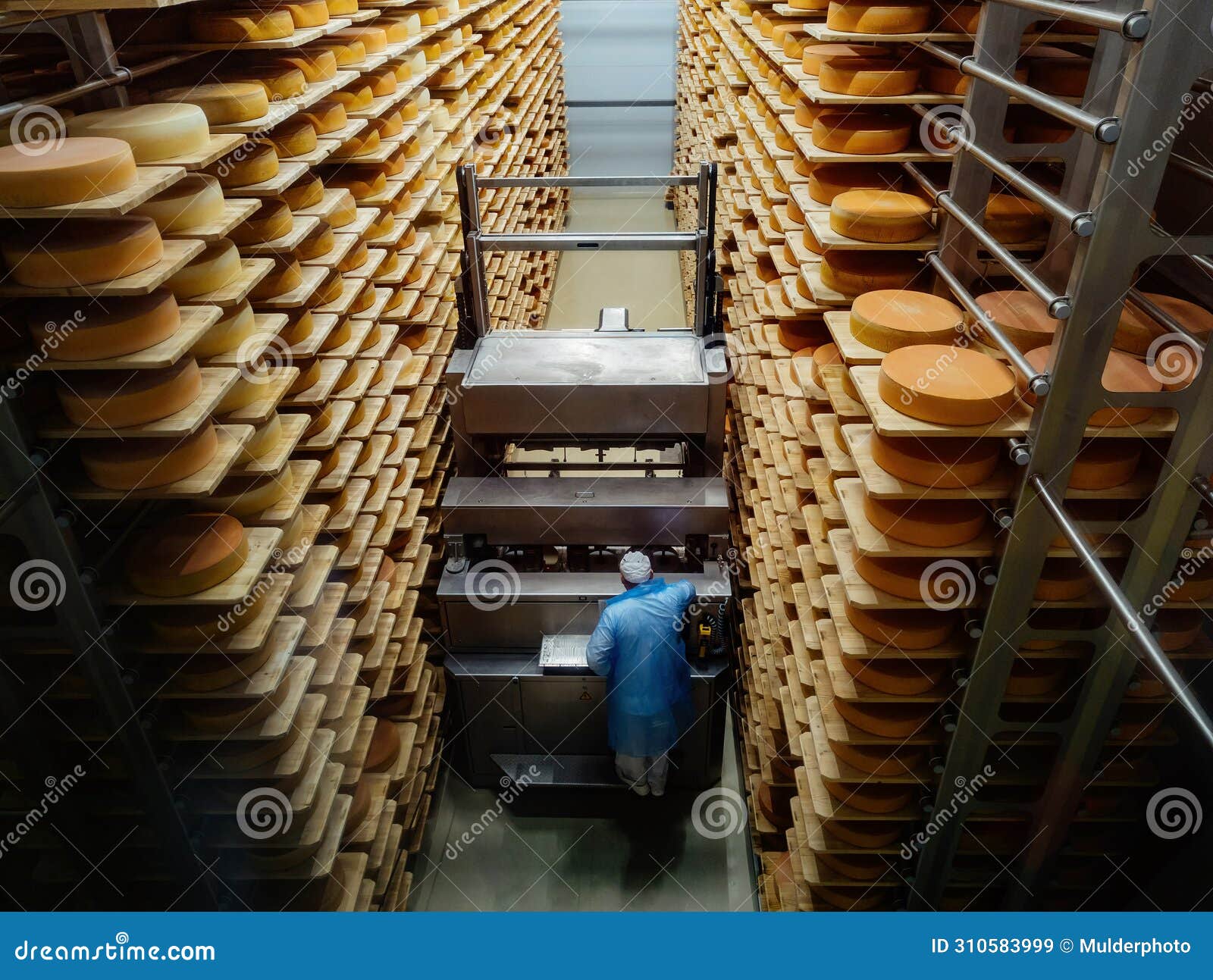 Loading Machine Working at Cheese Warehouse Stock Image - Image of ...