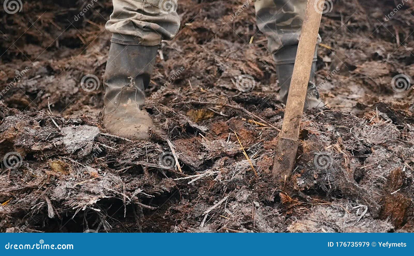 Loading Manure Stock Footage & Videos - 22 Stock Videos