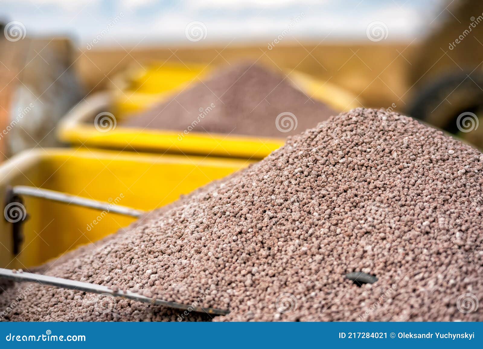 Loading of Mineral Fertilizer into the Hopper of the Sowing Unit Stock ...