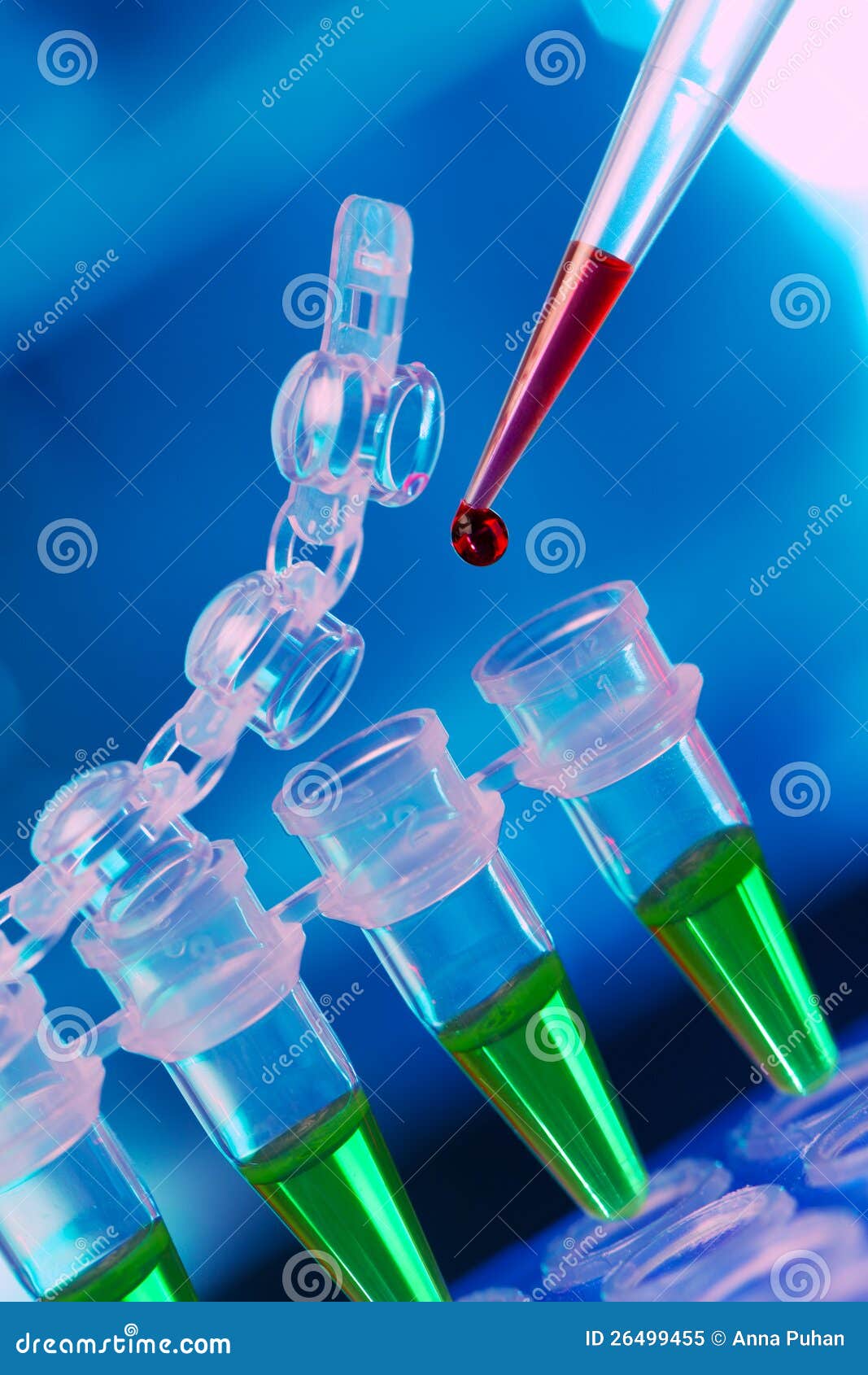 Loading of PCR samples stock image. Image of closeup - 26499455