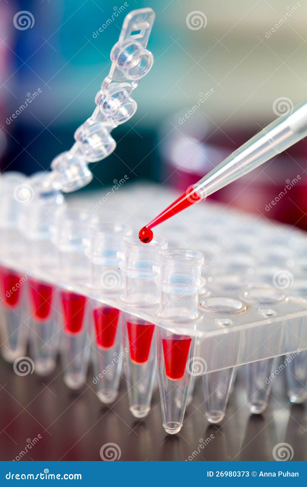Loading of PCR samples stock image. Image of pharmacy - 26980373