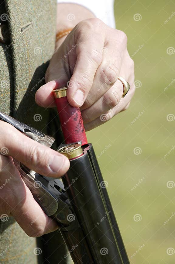 Loading Purdy Shot Gun stock image. Image of game, bore - 1762905