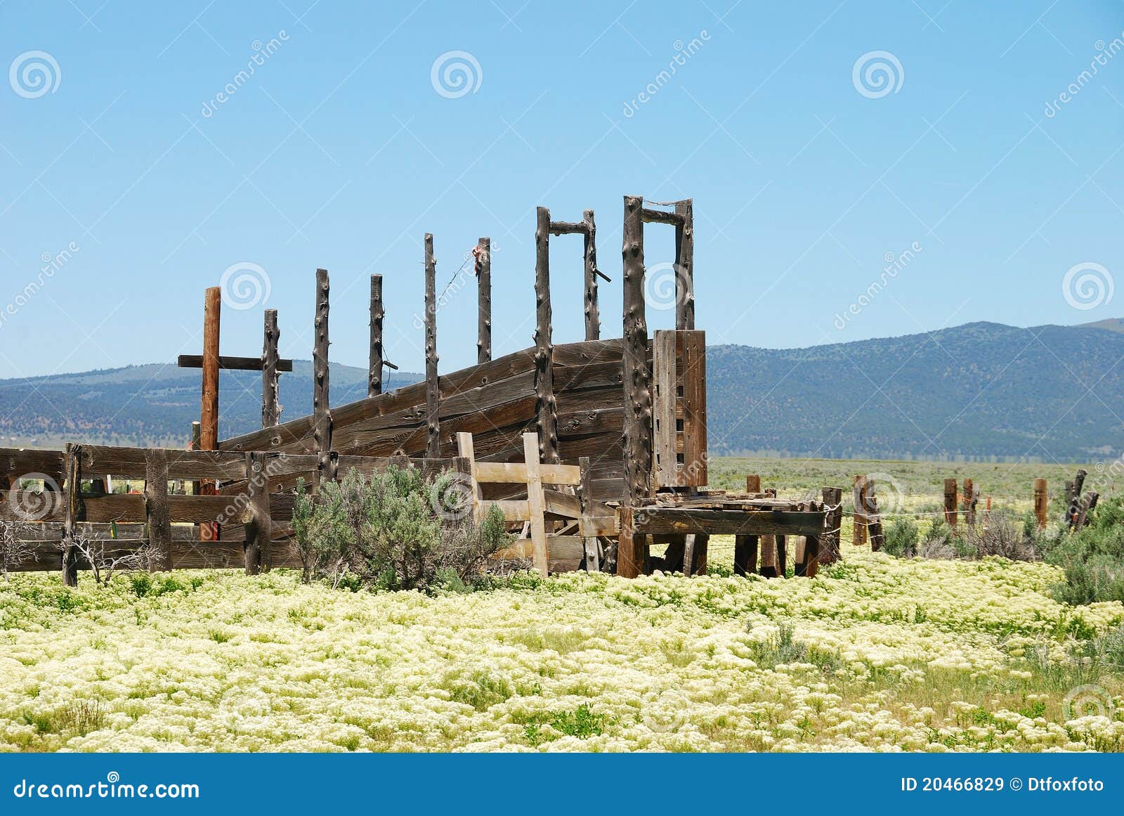 Loading Ramp stock image. Image of grass, livestock, countryside - 20466829