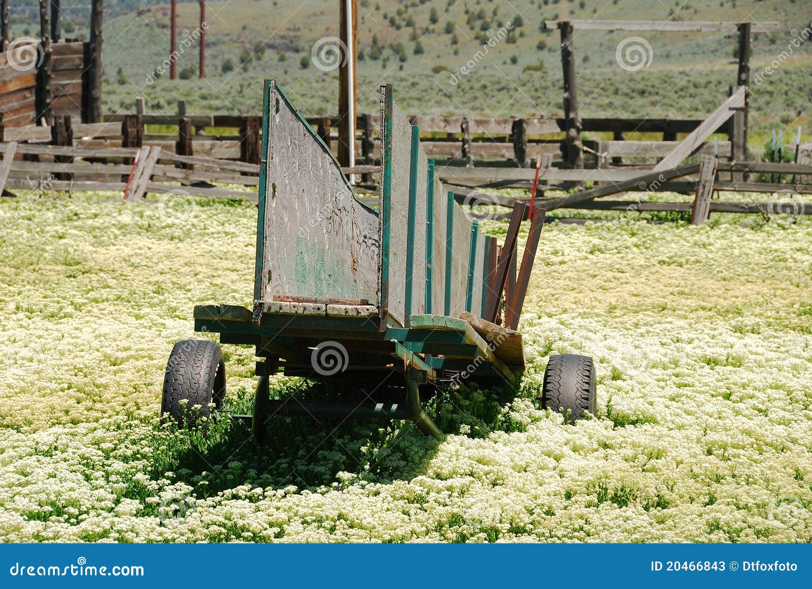 Loading Ramp stock image. Image of western, grass, loading - 20466843
