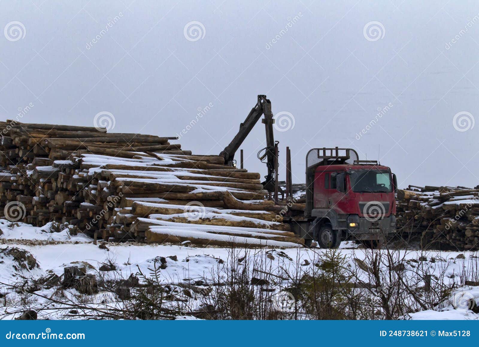 Loading of Roundwood on Timber Yard Stock Image - Image of grab, wood ...