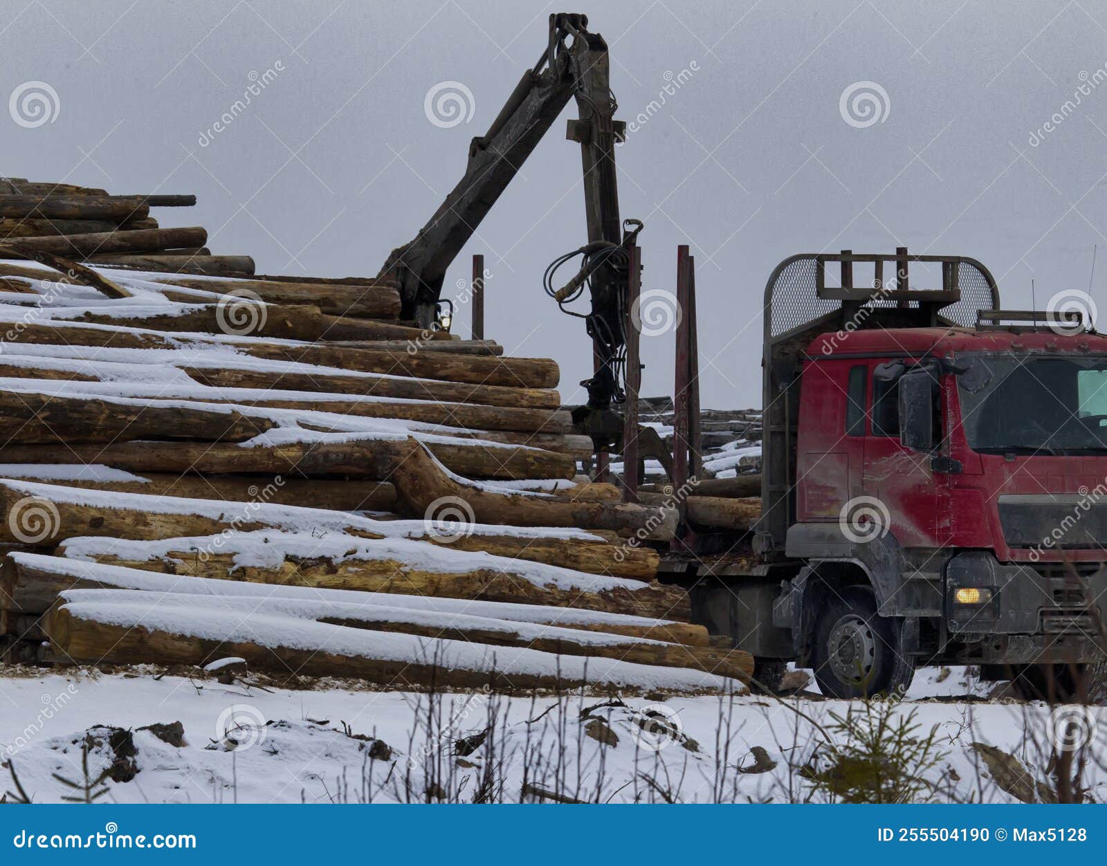 Loading of Roundwood on Timber Yard Stock Photo - Image of place, lorry ...