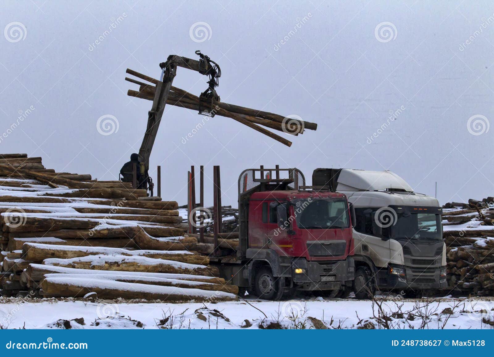 Loading of Roundwood on Timber Yard Stock Image - Image of track, site ...