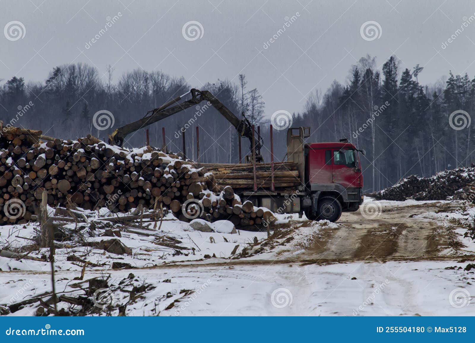 Loading of Roundwood on Timber Yard Stock Photo - Image of glade ...