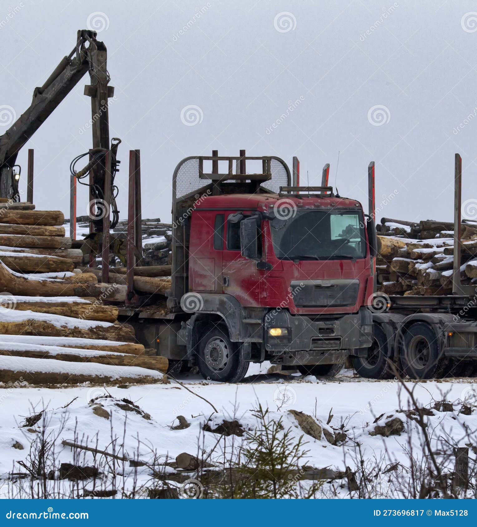 Loading of Roundwood on Timber Yard Stock Image - Image of site ...