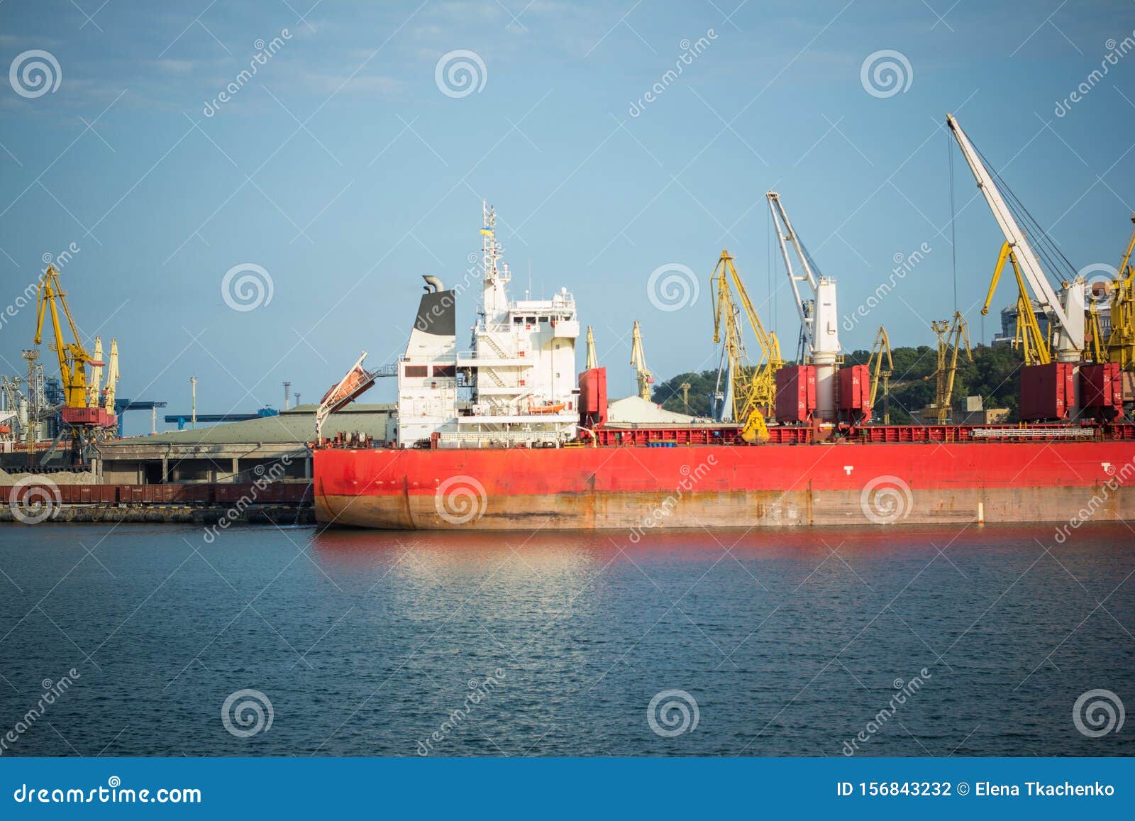 Loading in a Sea Cargo Port Stock Photo - Image of cranes, construction ...