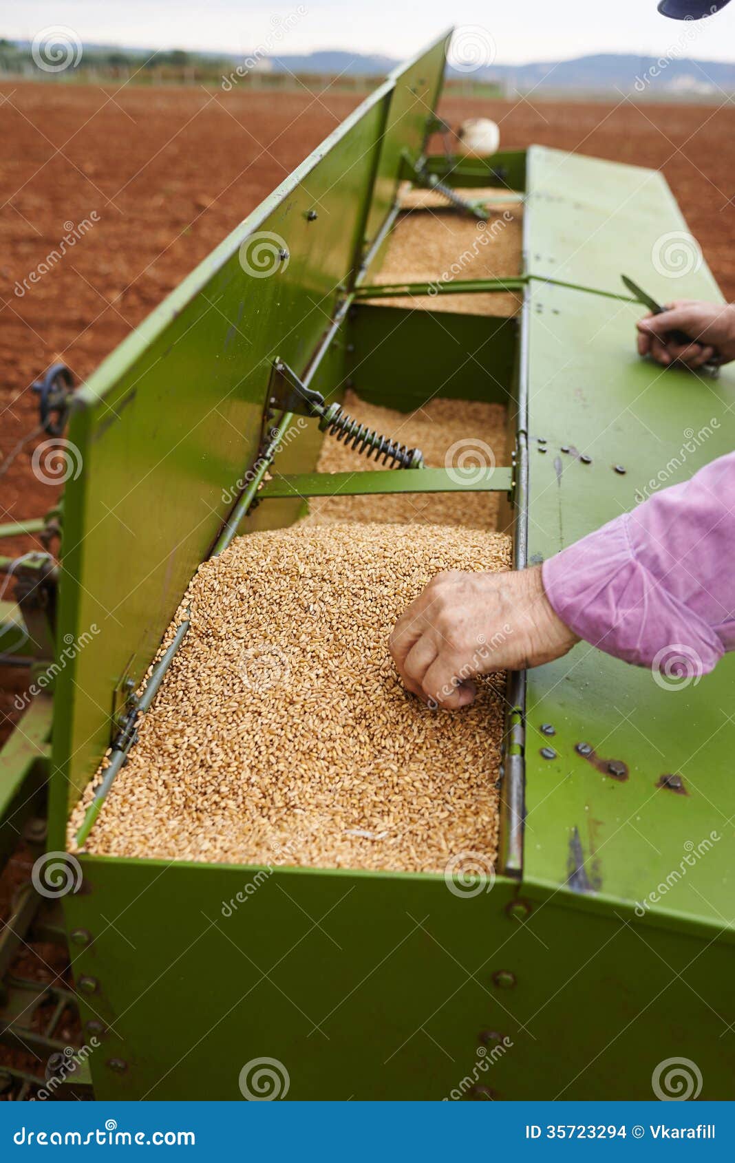 Loading Seeding Machine with Wheat Seeds and Fertilizer Stock Photo ...