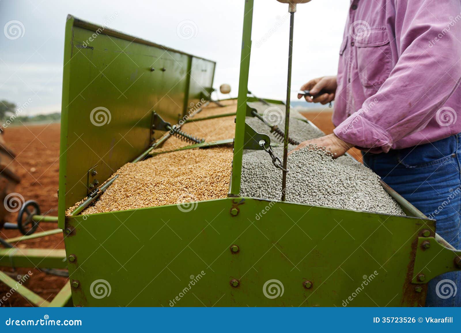 Loading Seeding Machine with Wheat Seeds and Fertilizer Stock Photo ...