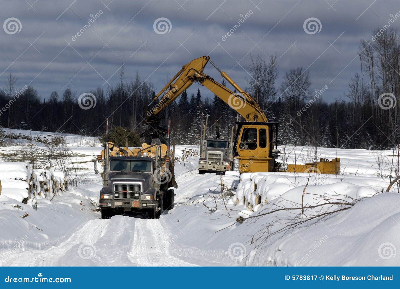 369 Logging Truck Winter Stock Photos - Free & Royalty-Free Stock ...