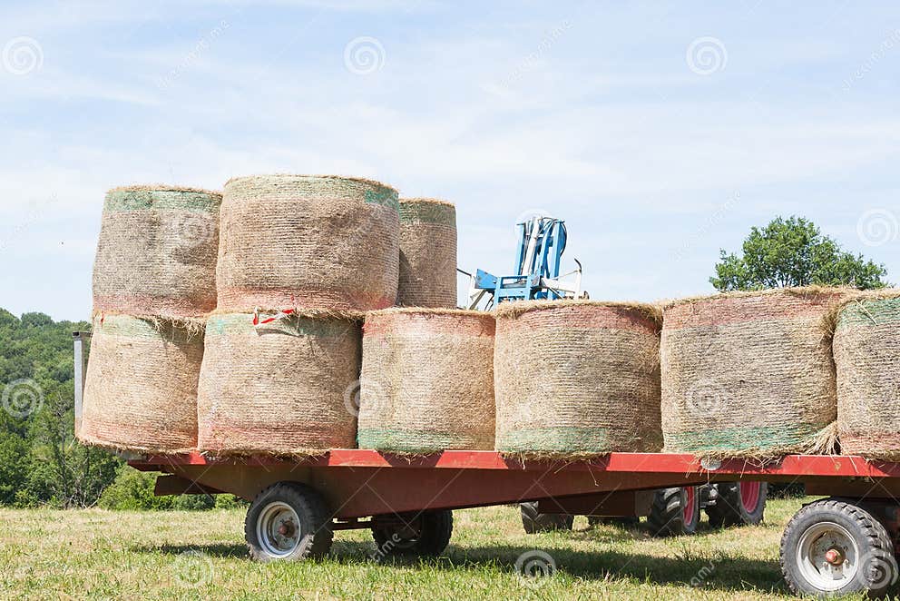 Loading and Stacking Round Hay Bales on a Trailer for Transport Stock ...