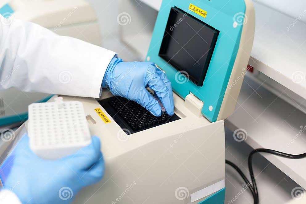Loading Test Tubes with Sampled DNA for PCR Stock Photo - Image of ...