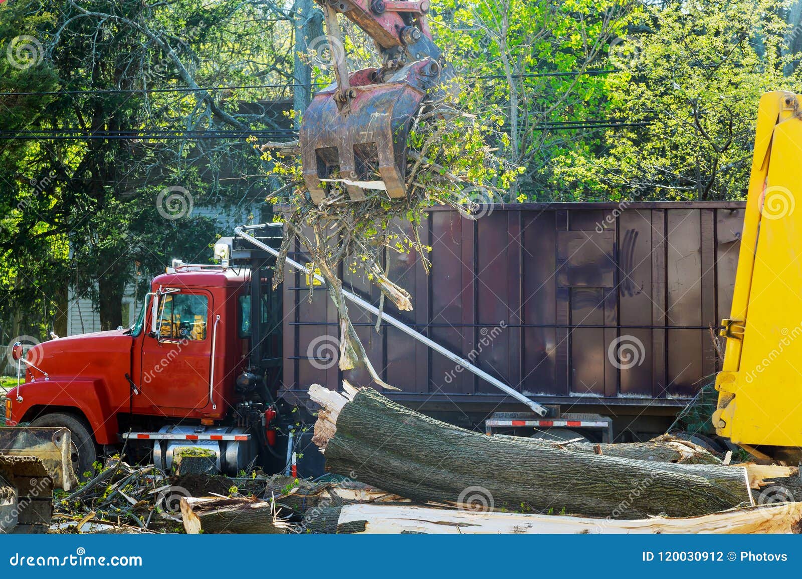 Loading and Exportation of Cut Trees after the Storm Stock Photo ...