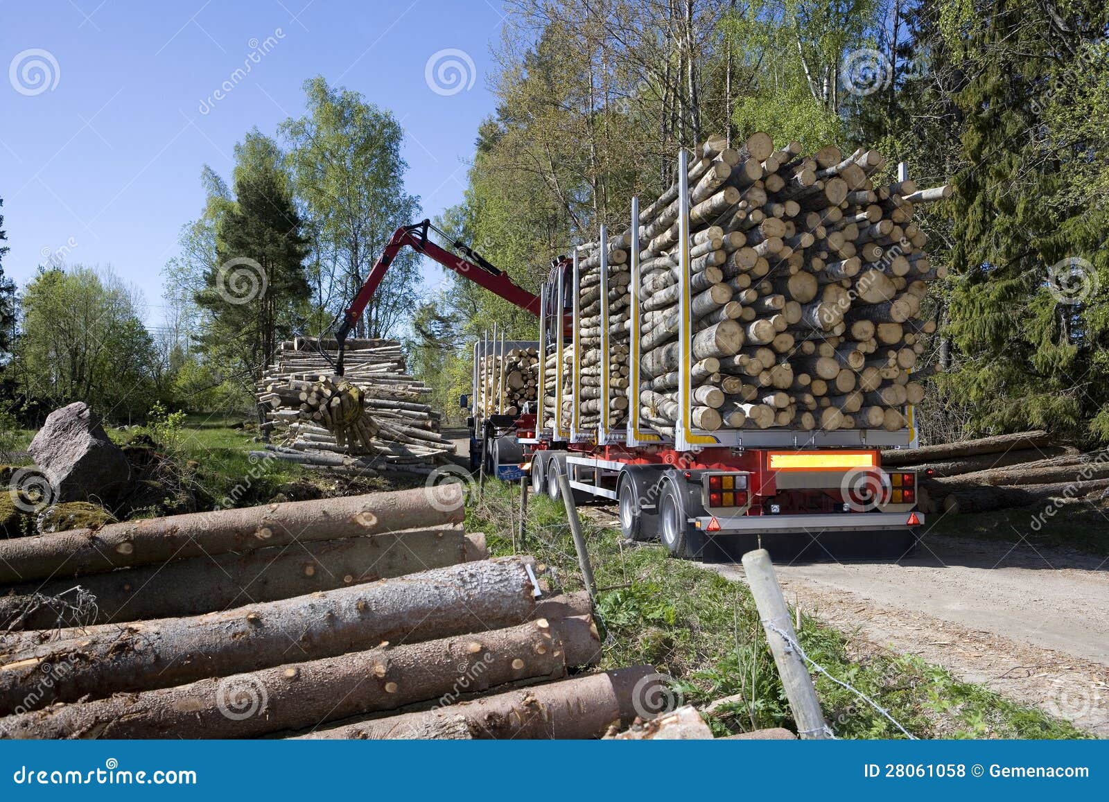 Loading Timber stock photo. Image of trucking, candid - 28061058