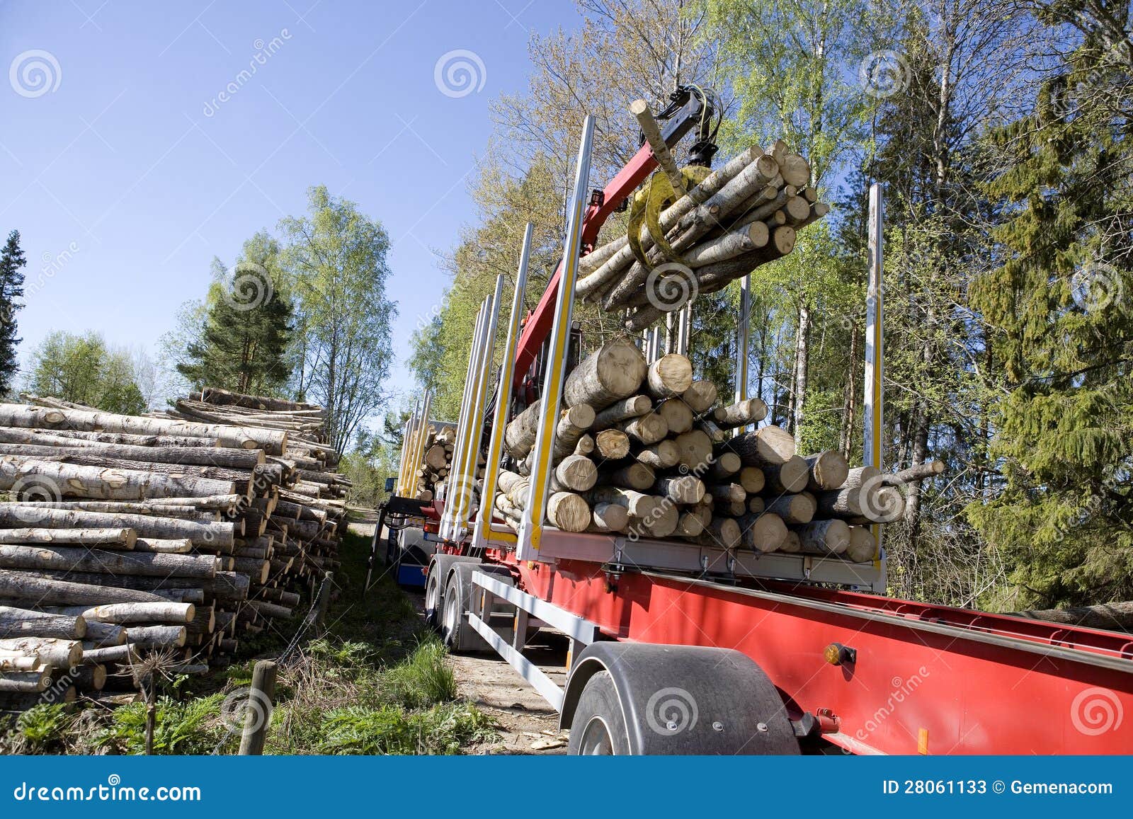 Loading Timber stock image. Image of redwood, wood, industry - 28061133