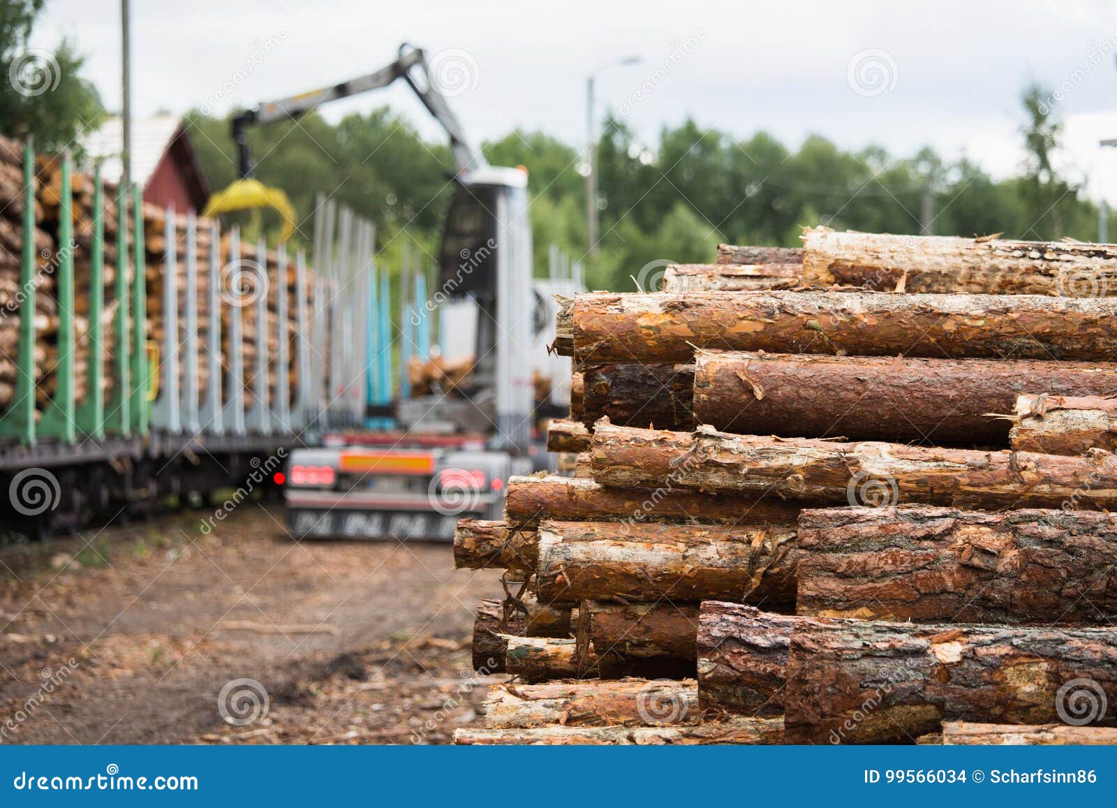 Loading of timber stock photo. Image of grab, claw, railroad - 99566034
