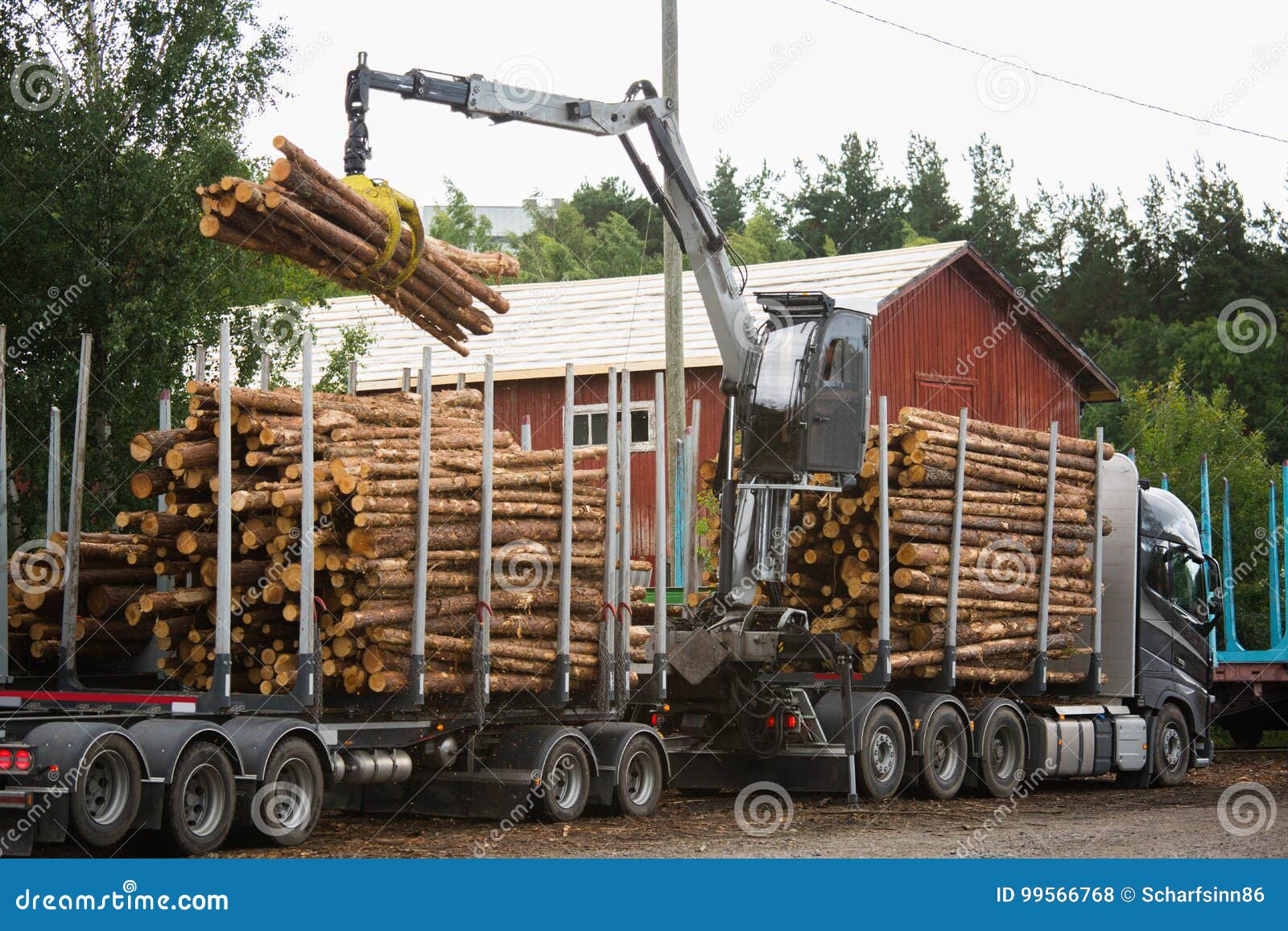 Loading of timber stock photo. Image of industrial, processing - 99566768
