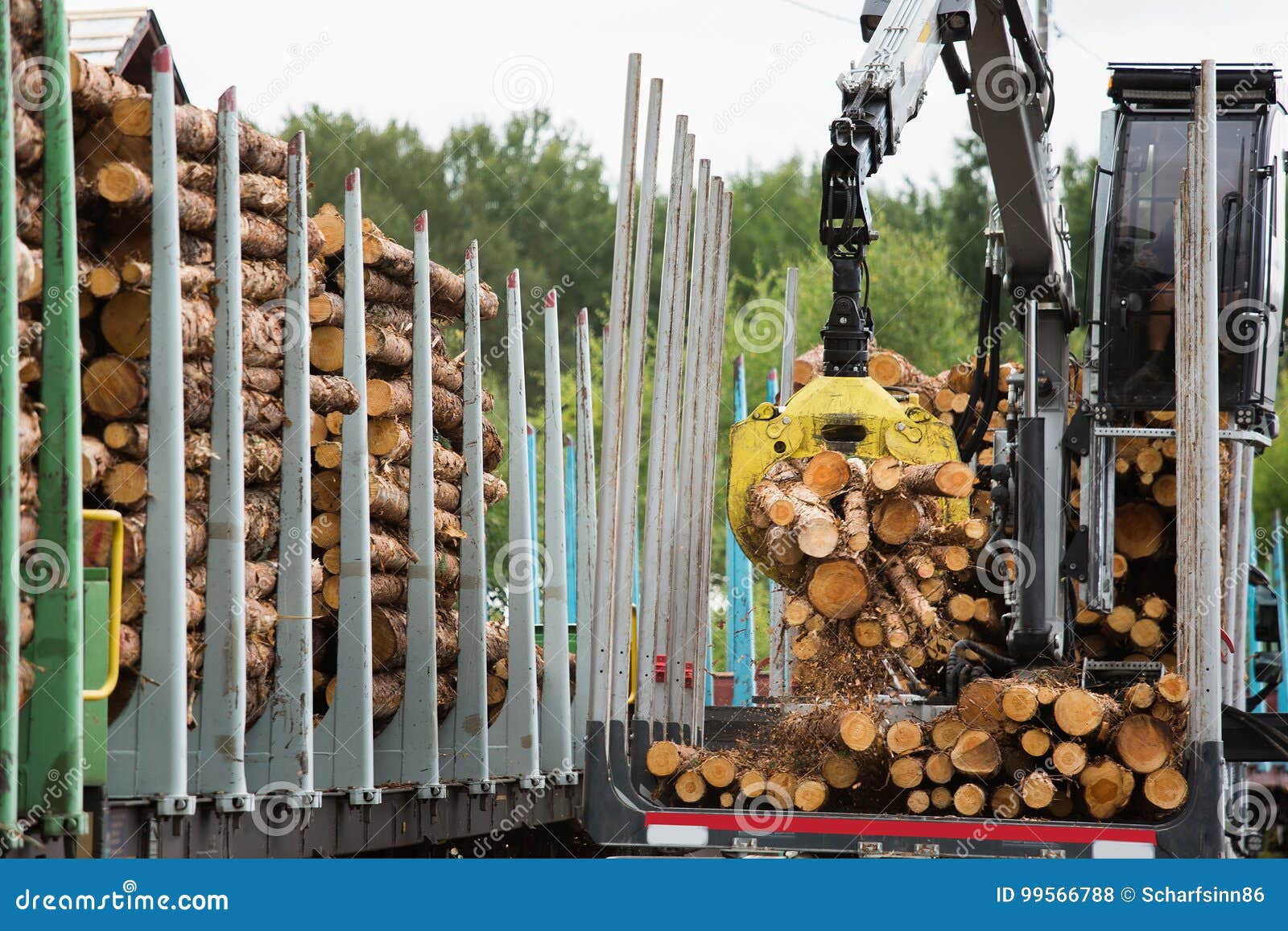 Loading of timber stock photo. Image of cargo, logging - 99566788