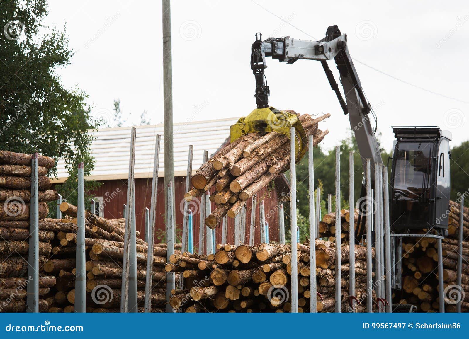 Loading of timber stock image. Image of logging, timber - 99567497