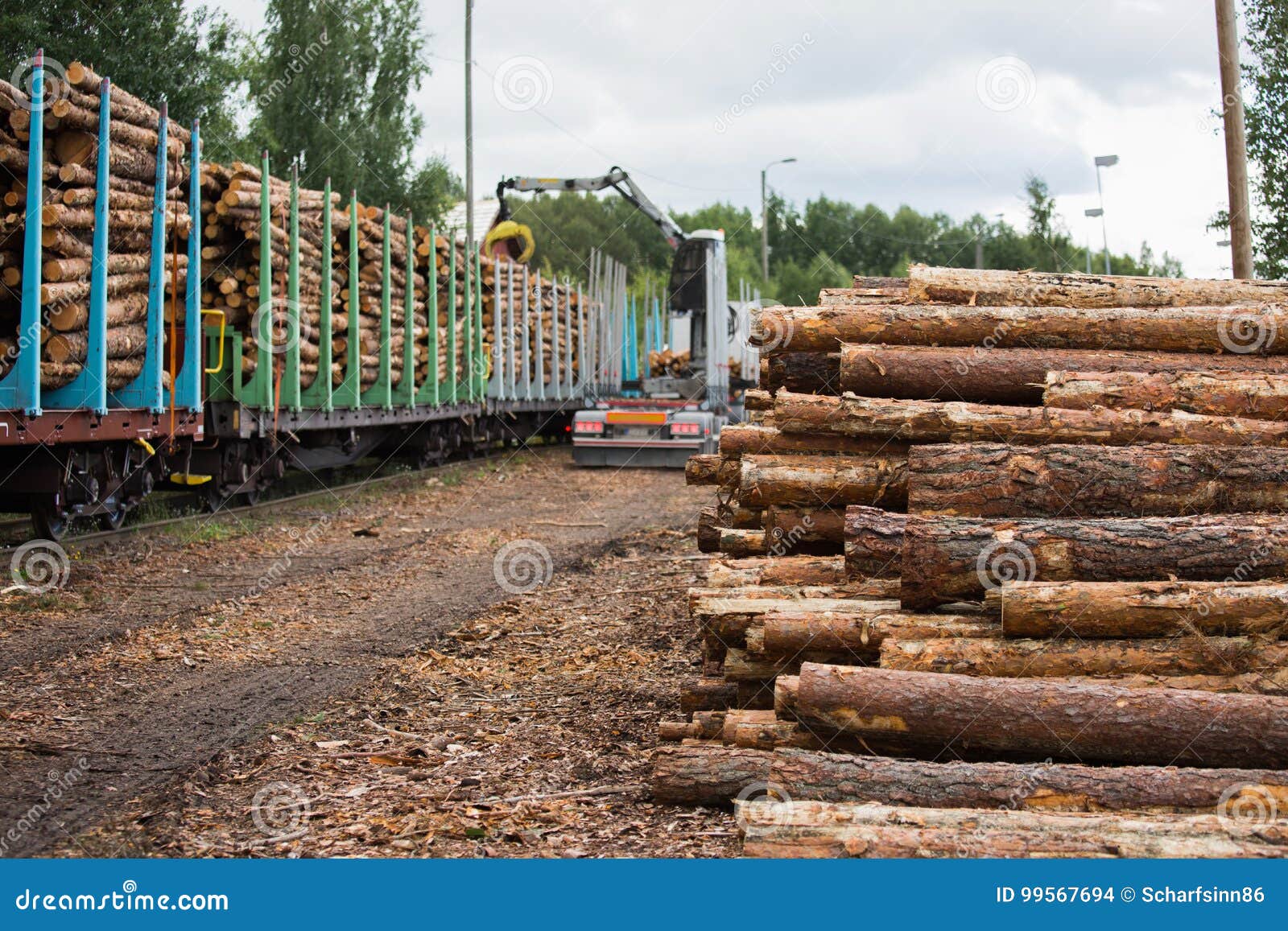 Loading of timber stock photo. Image of loader, stack - 99567694
