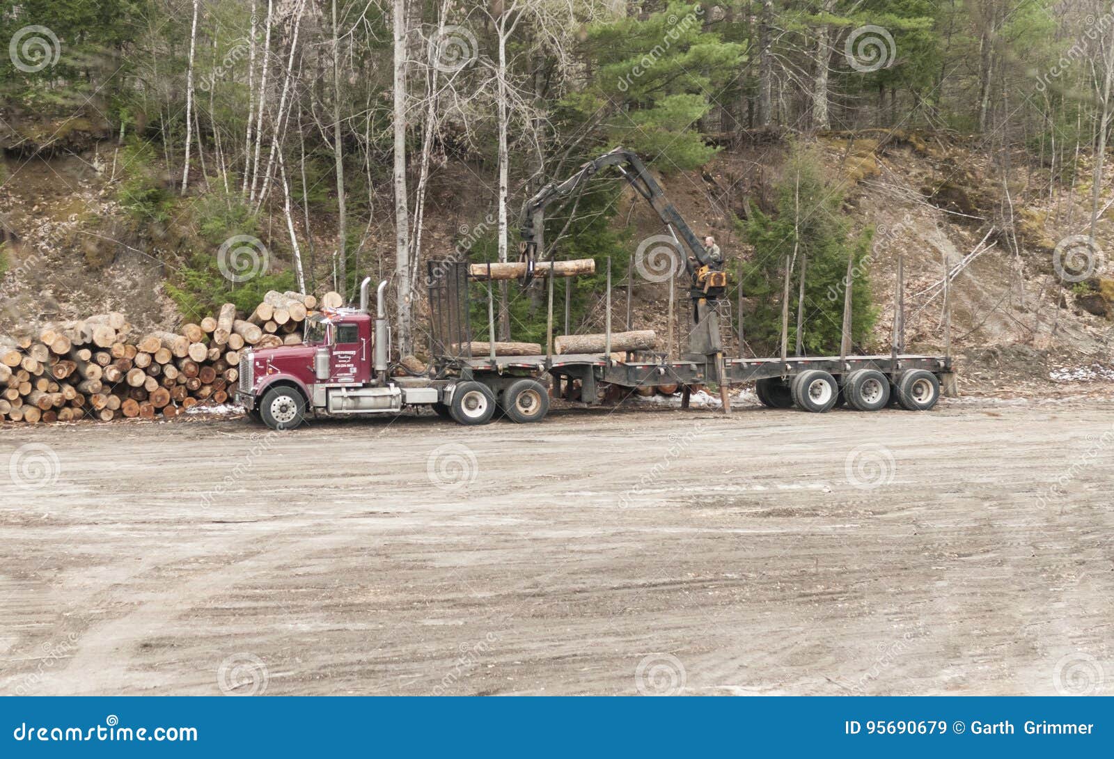 Loading timber stock image. Image of heavy, logs, truck - 95690679