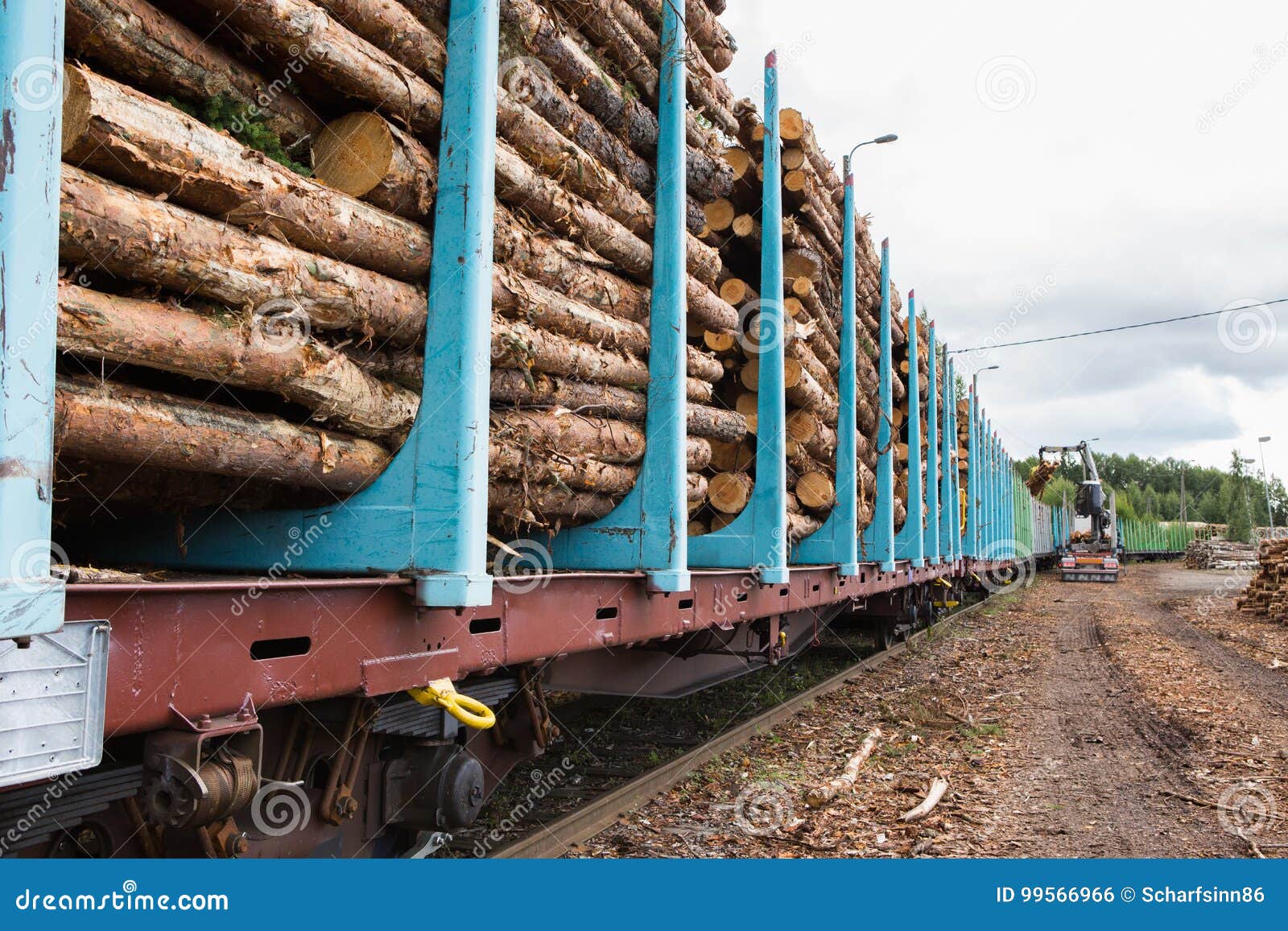 Loading of timber stock photo. Image of loader, sawmill - 99566966