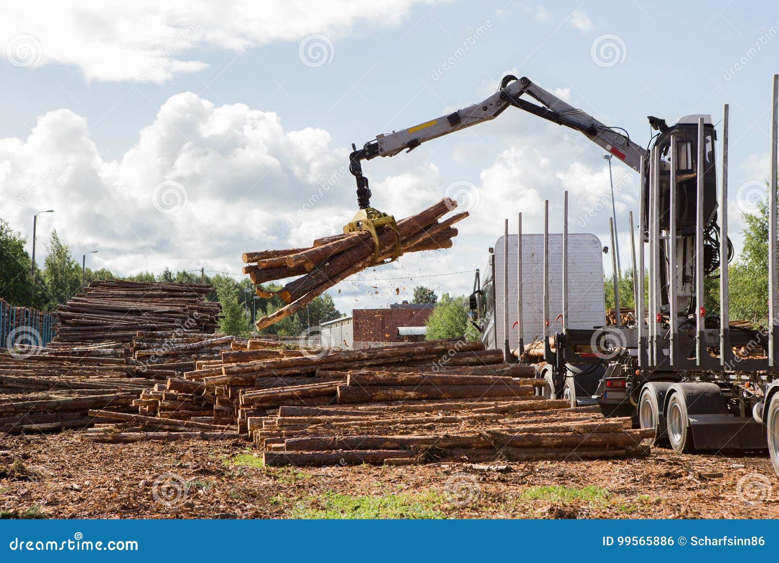 Loading of timber stock photo. Image of railway, forestry - 99565886
