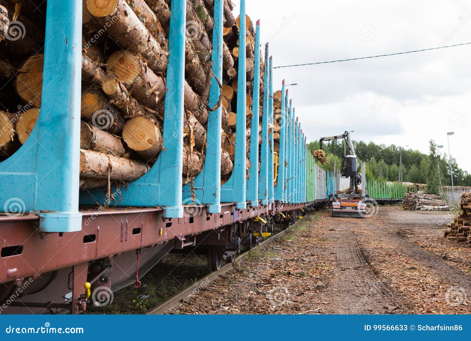 Loading of timber stock image. Image of carriage, cargo - 99566633