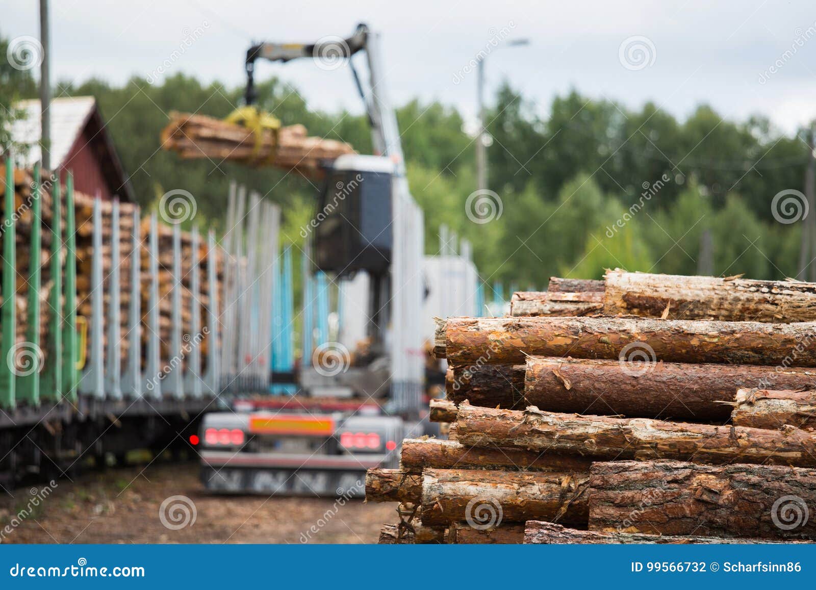 Loading of timber stock photo. Image of timber, grab - 99566732