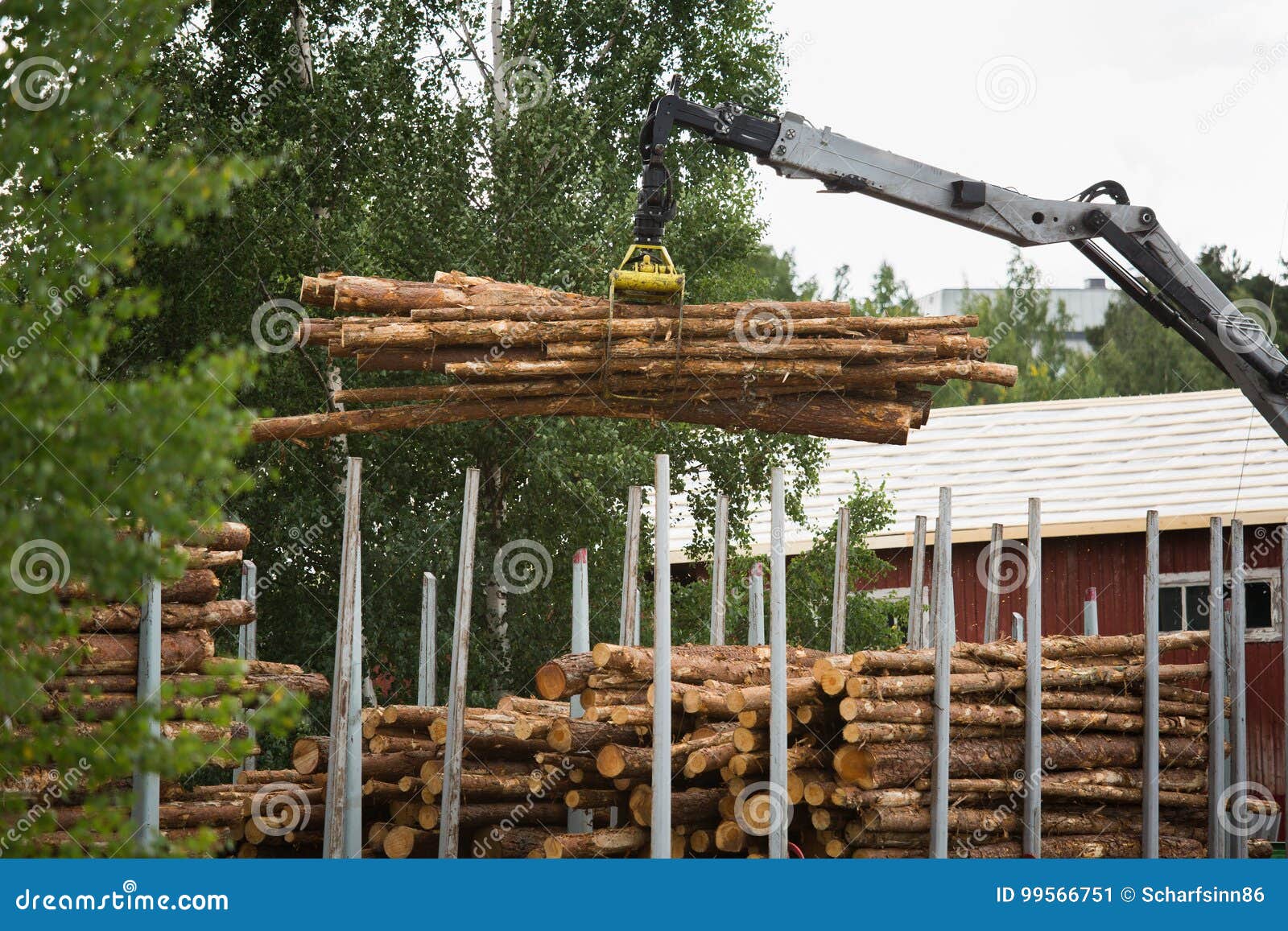 Loading of timber stock image. Image of machinery, crane - 99566751