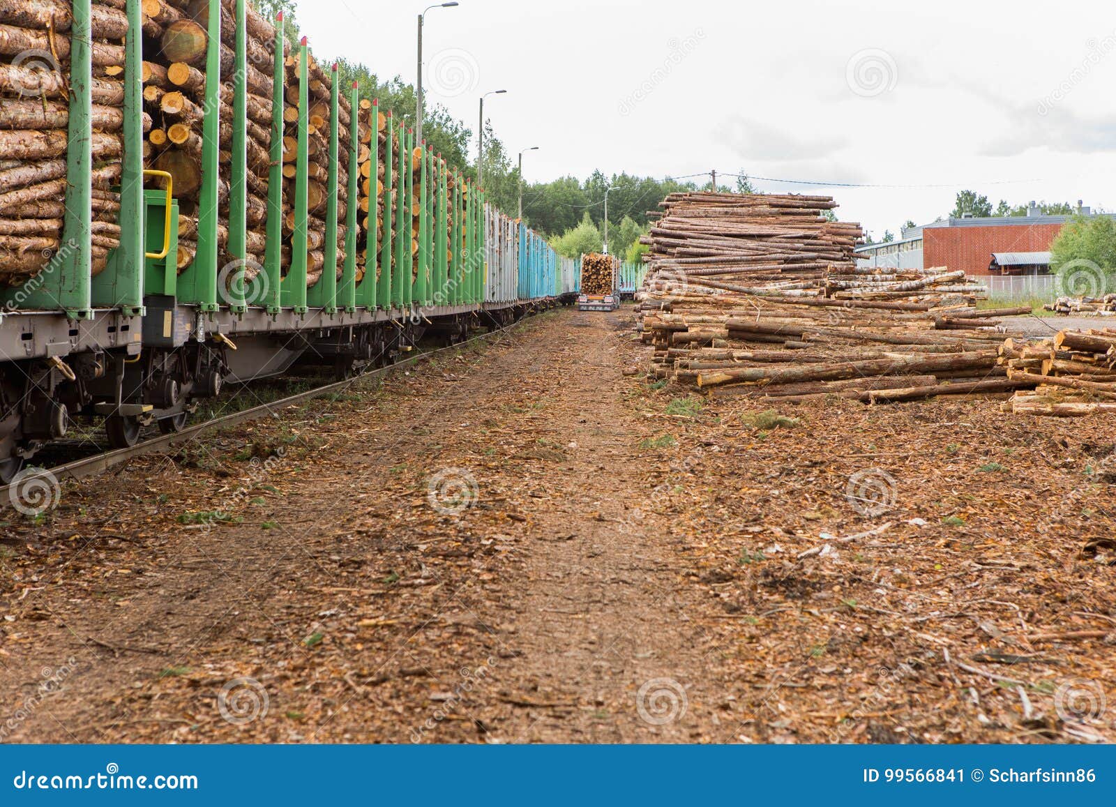 Loading of timber stock image. Image of stack, pile, processing - 99566841