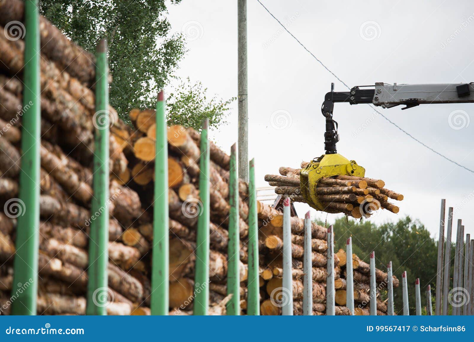 Loading of timber stock image. Image of moving, industry - 99567417