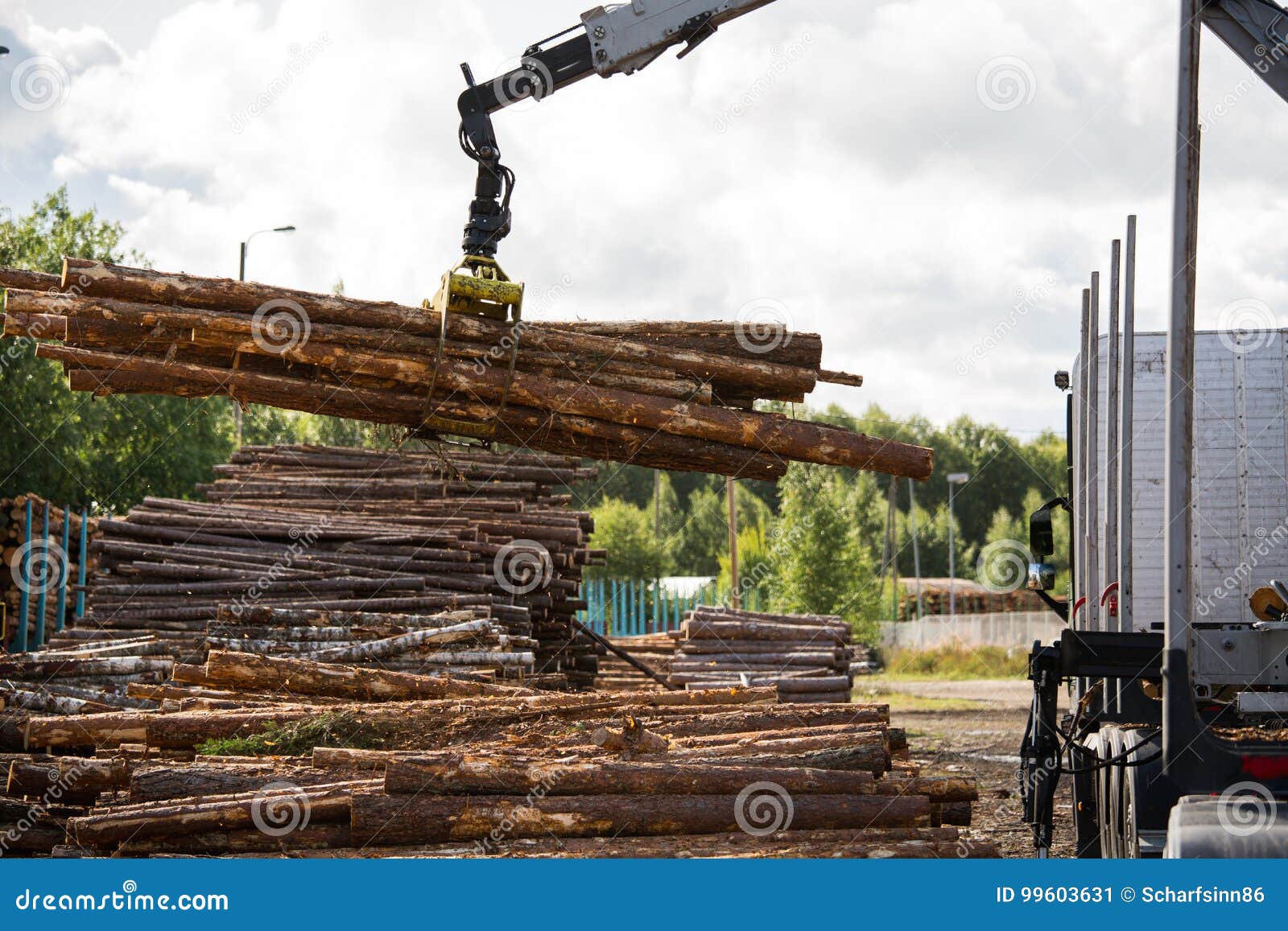 Loading of timber stock image. Image of processing, lumber - 99603631