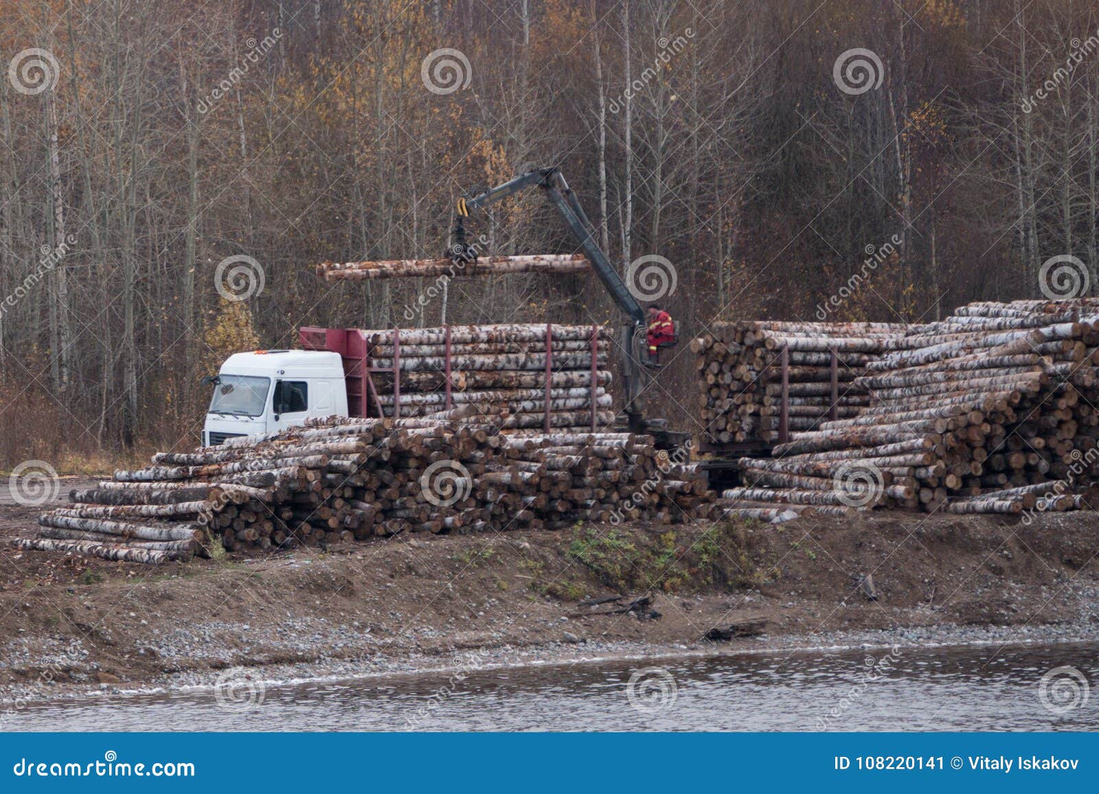 Loading of Timber on Railway Carriages. Loader in Work. Stock Image ...