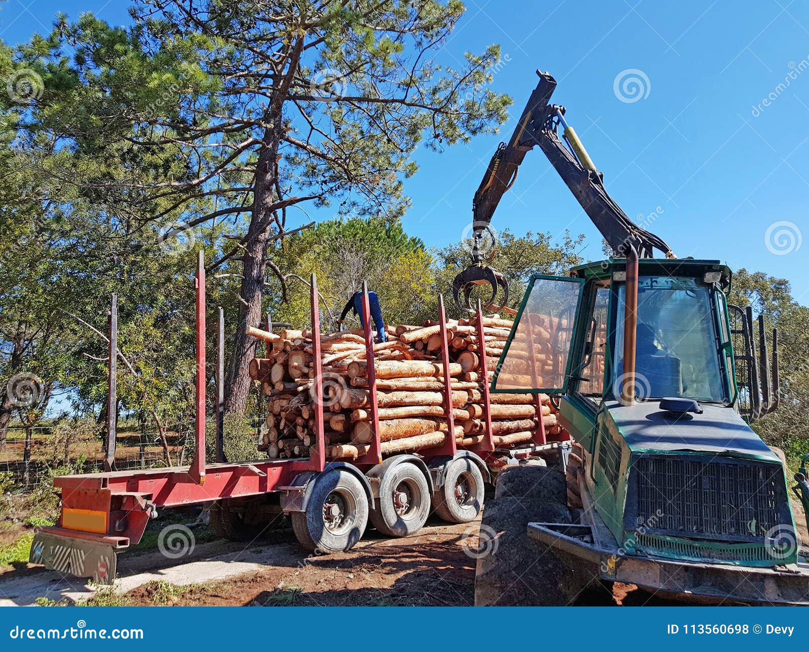 Loading a Truck Full of Tree Logs Stock Photo - Image of logs, heap ...