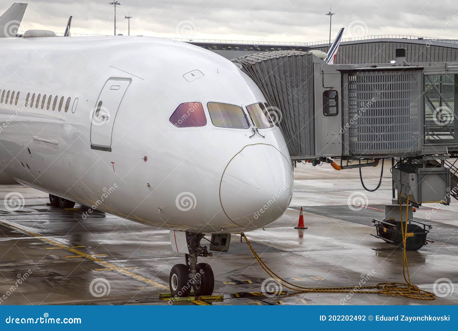 Loading - Unloading an Airplane in the Airport. Stock Photo - Image of ...