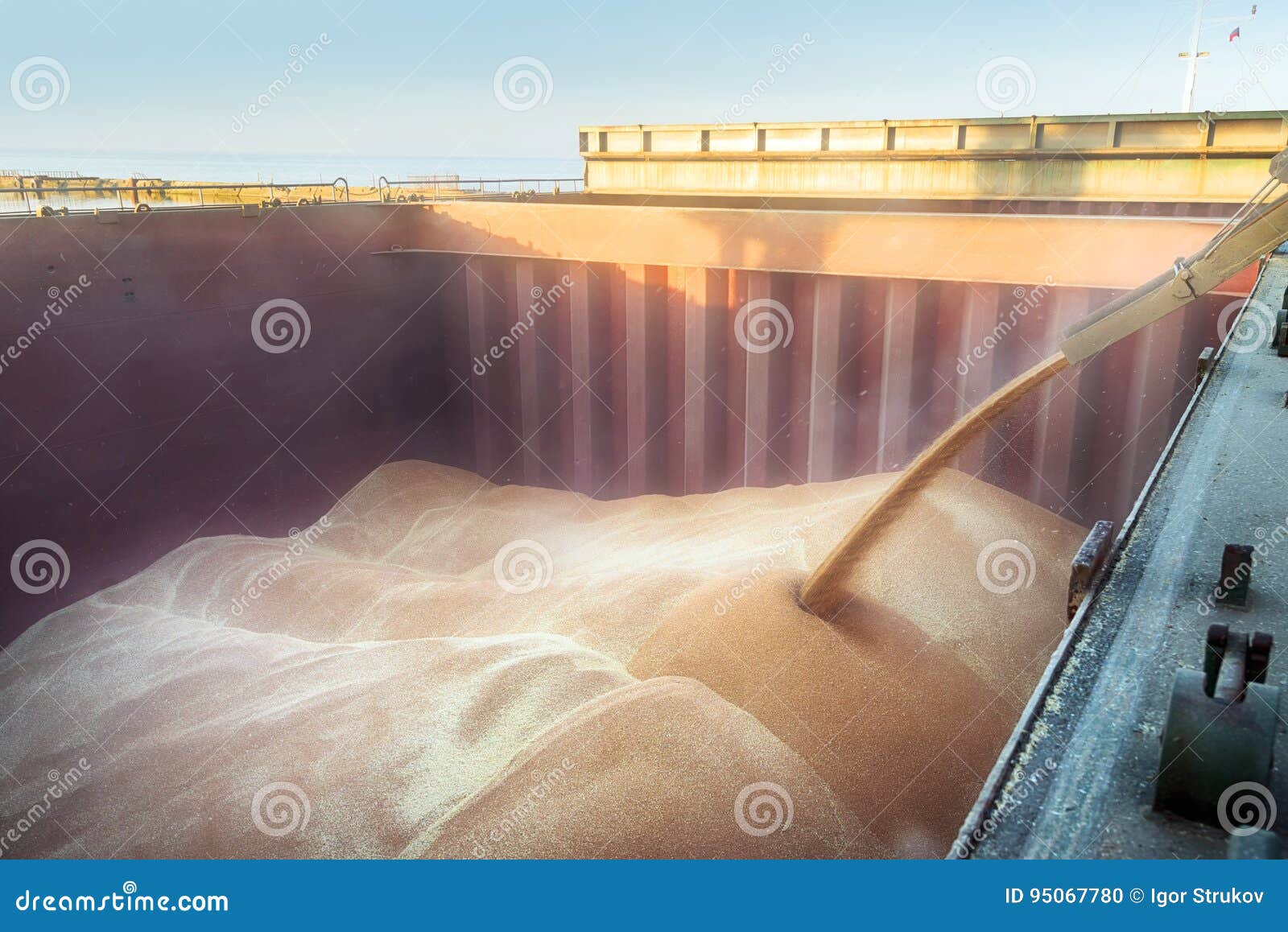 Loading of wheat in a hold stock photo. Image of transportation - 95067780