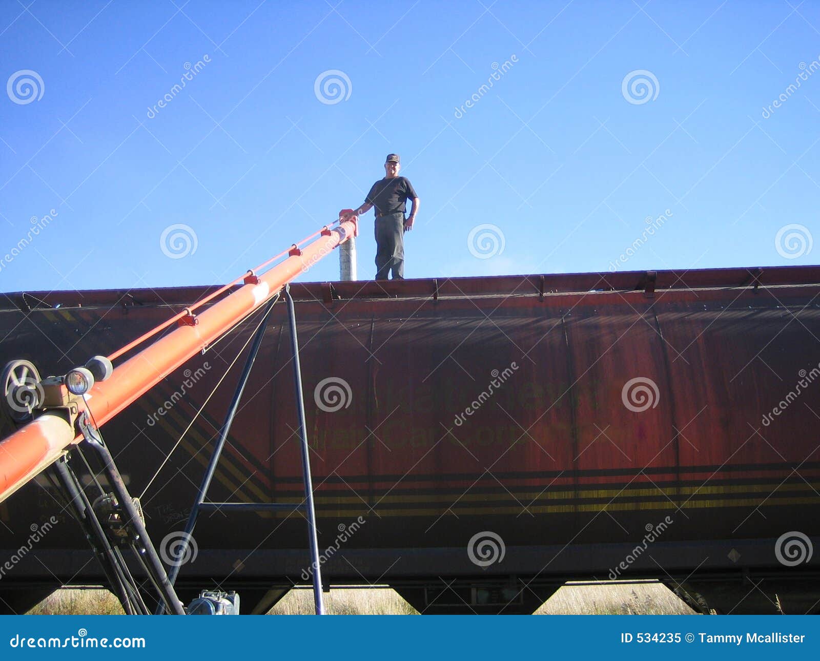 Loading Wheat Into Railcar Stock Image | CartoonDealer.com #534235