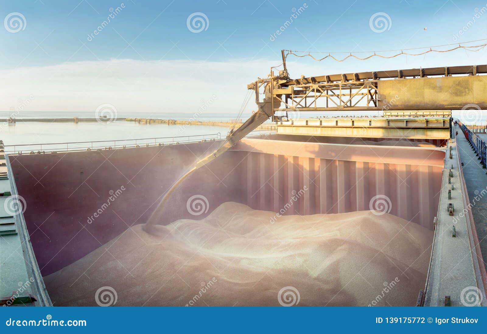 Loading of Wheat on the Ship Stock Photo - Image of agriculture, food ...