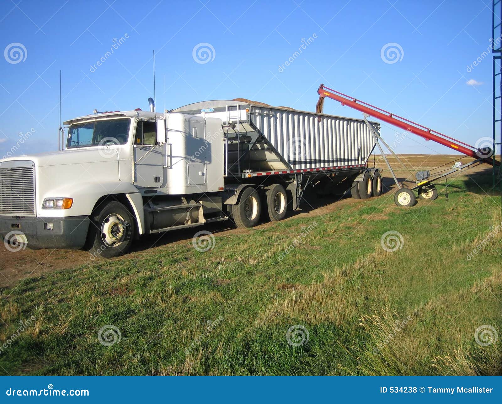 Loading Wheat Into Railcar Stock Image | CartoonDealer.com #534235