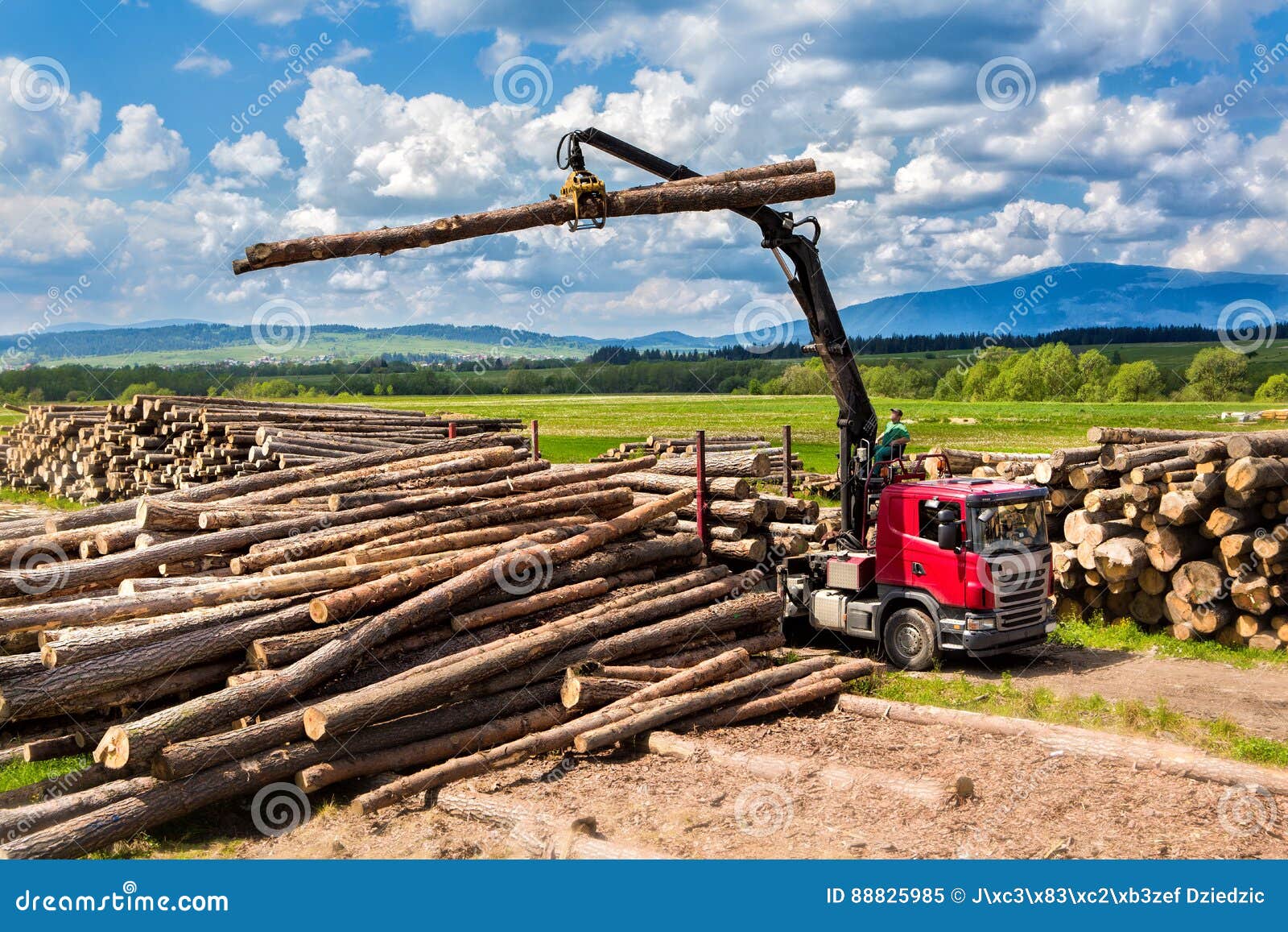 Loading wood car editorial image. Image of timber, tree - 88825985