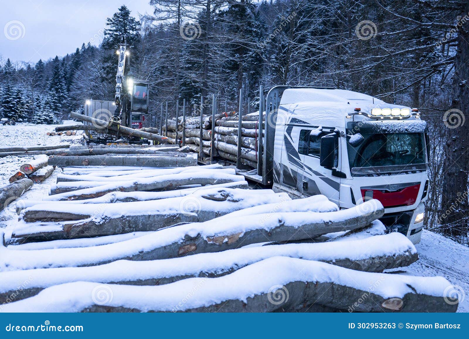 Loading Wood Onto a Truck in the Forest in Winter Stock Image - Image ...