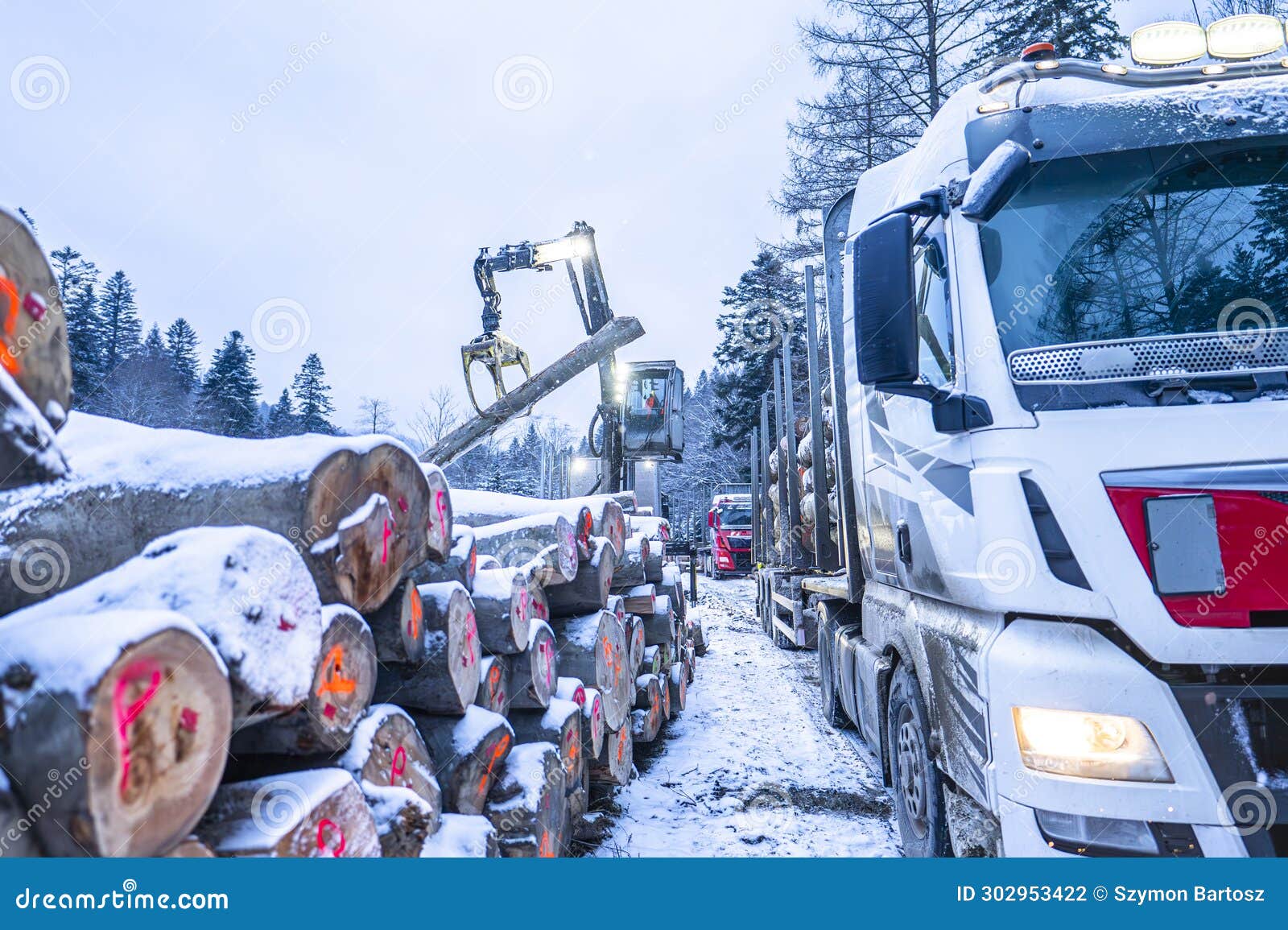 Loading Wood Onto a Truck in the Forest in Winter Stock Photo - Image ...