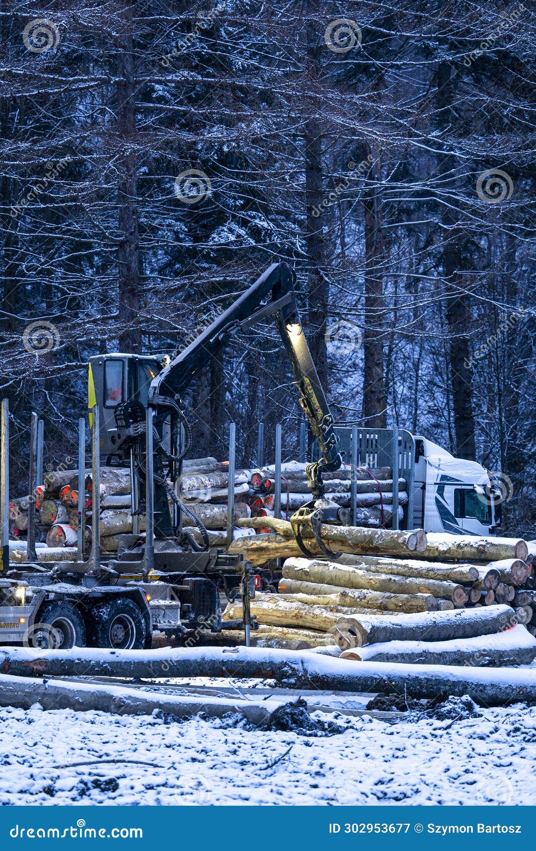 Loading Wood Onto a Truck in the Forest in Winter Stock Image - Image ...