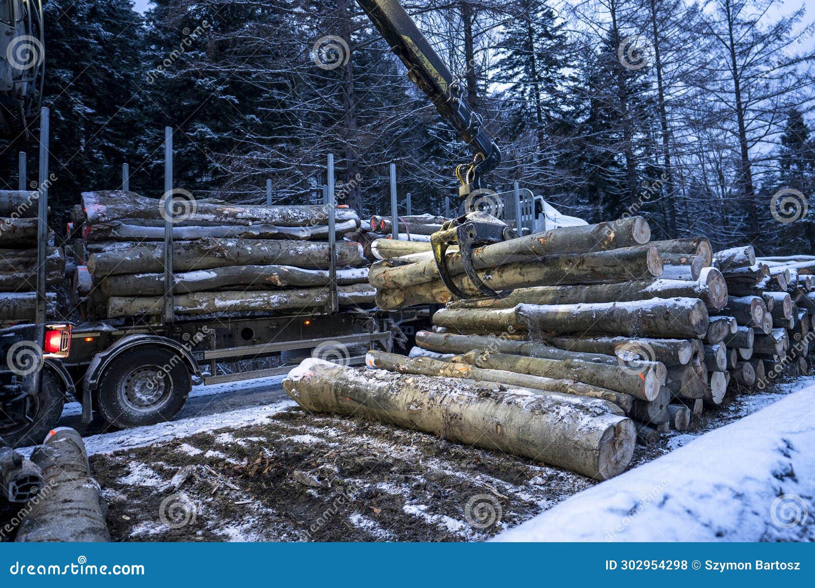 Loading Wood Chipper With Tree Branches For Shredding Close Up Stock ... Loading Wood Chipper With Tree Branches For Shredding Close Up Stock ...